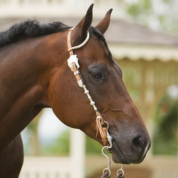 Selenium: How Much Is in Your Horse’s Diet? - KPP