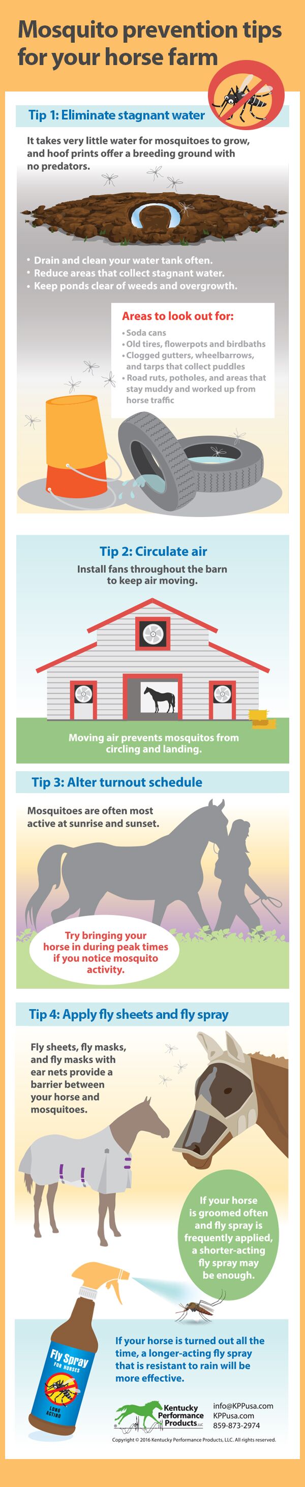 Mosquito Prevention Tips for Your Horse Farm - KPP