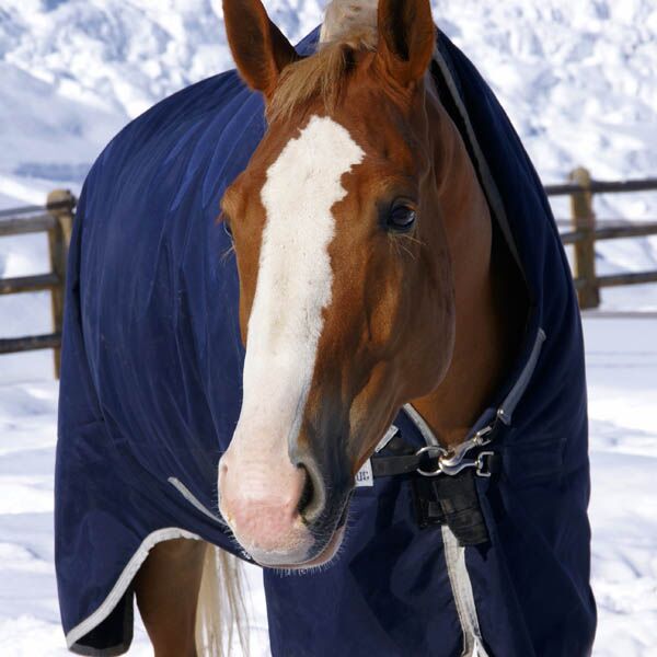 ‘Going Under Cover’ – Blanketing Decisions - KPP