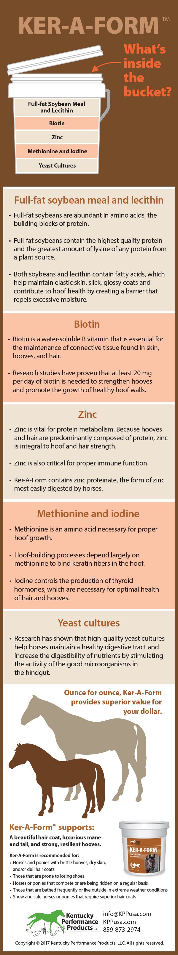 Ker-A-Form: What’s Inside the Bucket? - KPP