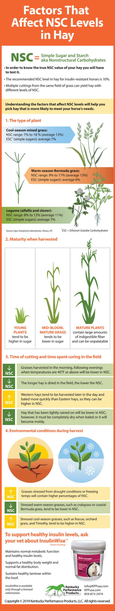 Factors That Affect NSC Levels in Hay - KPP