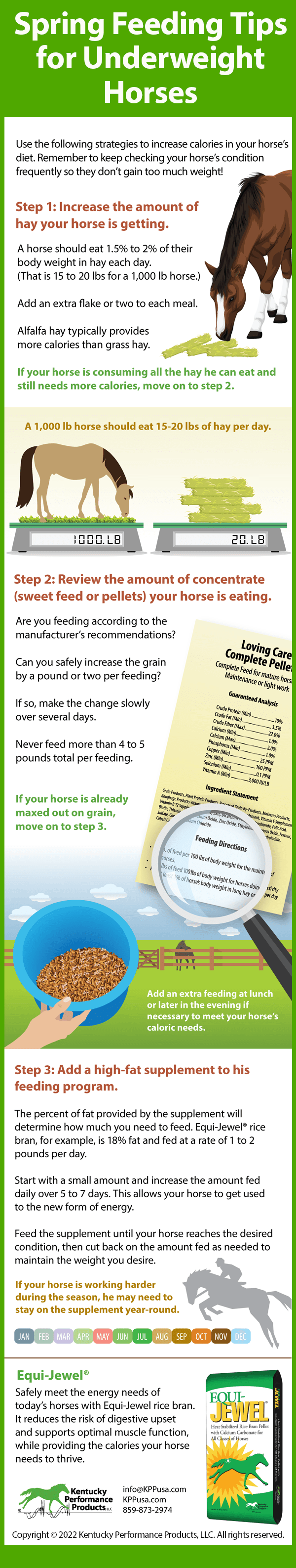 Spring Feeding Tips for Underweight Horses - KPP