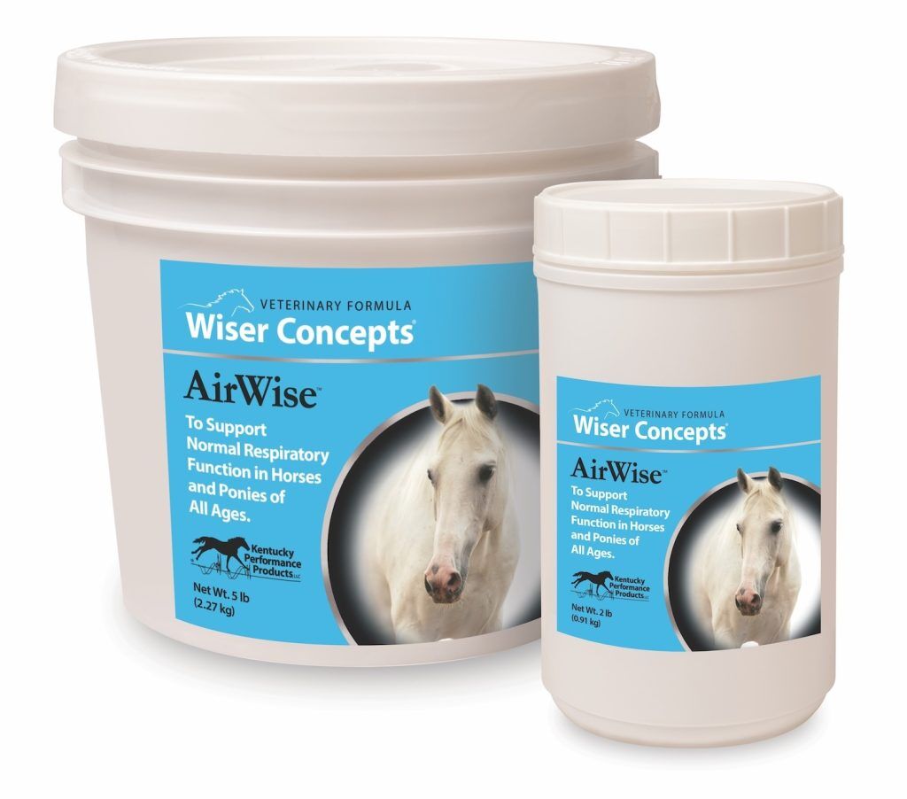 My Horse Is Coughing. Should I Worry? - KPP