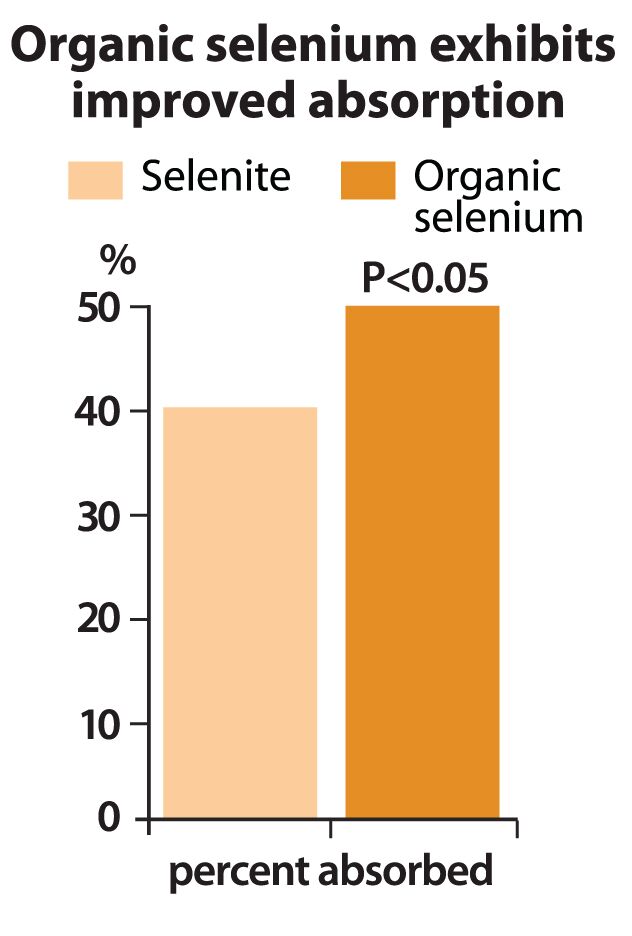 Elevate® Se - Antioxidants, Immune, Muscle, Vitamins and Minerals - KPP